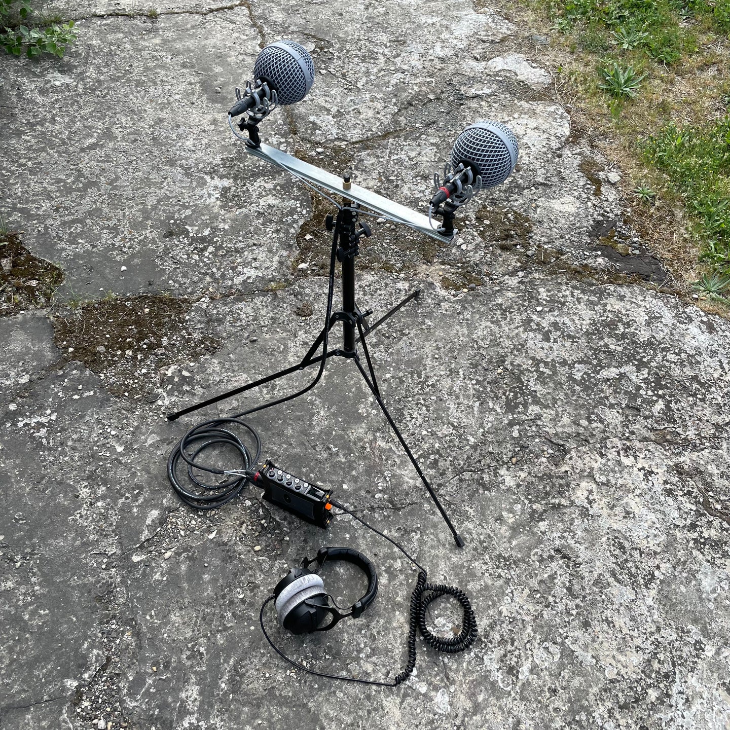 basicUcho series – LOM