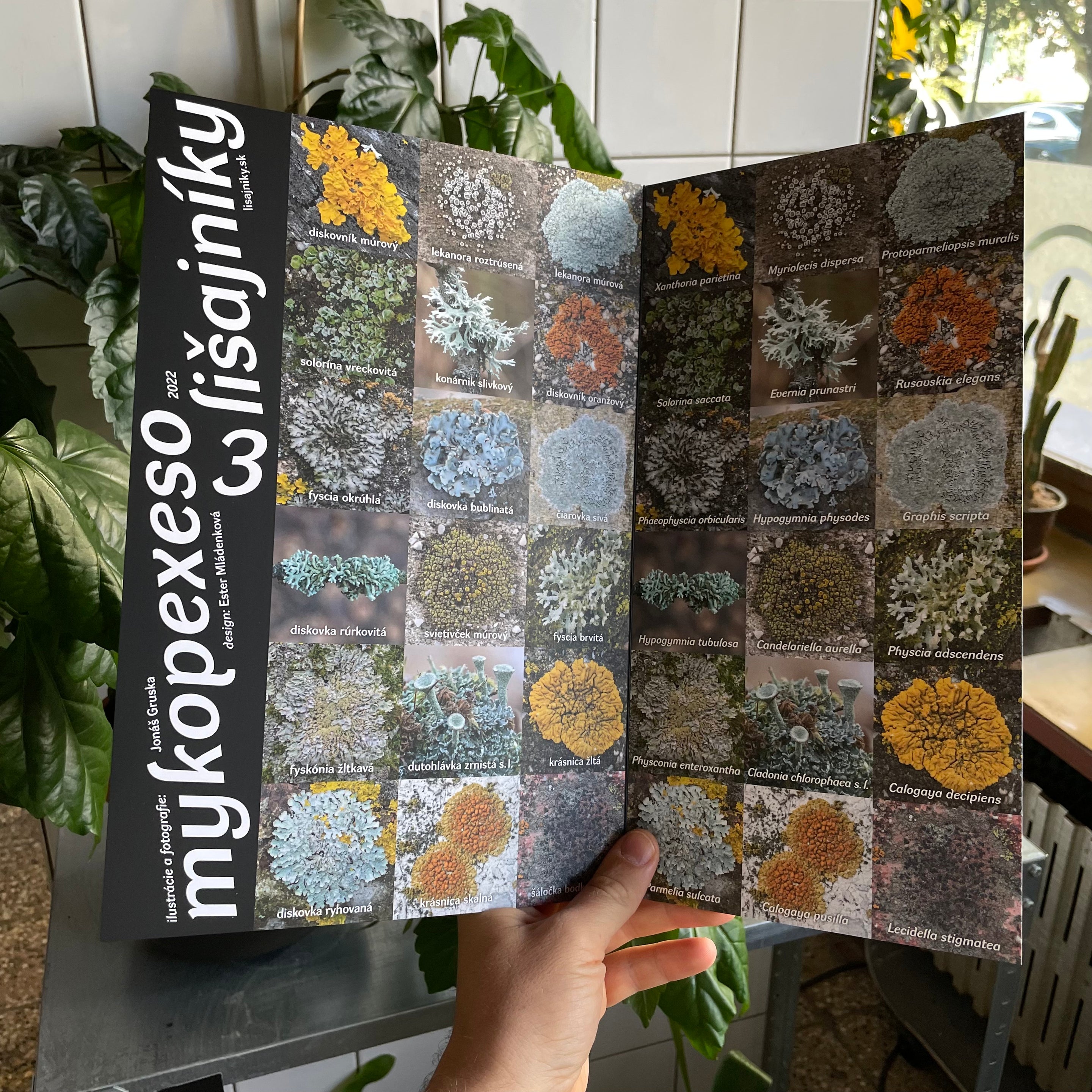 Books & Merch – LOM